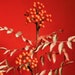 Rowan Ash Tree Branch - Templates - DIY - Video Tutorial - SVG ...