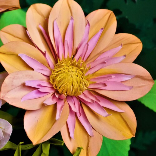 Daphne Paper Flowers Templates Video Tutorial Instant - Etsy