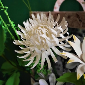 Anastasia Spider Mum - Paper Flower - Templates - Video Tutorial ...