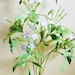 Jasmine - Paper Flower - Templates - Instant Download - Video Tutorial ...