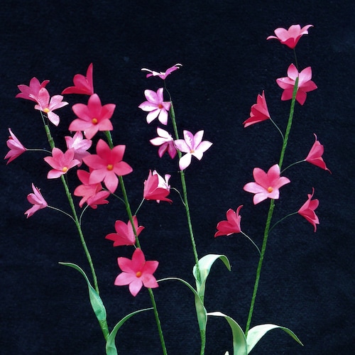 Wild Roses Paper Flowers Templates Tutorial read | Etsy