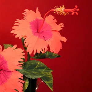 Hawaiian Hibiscus - Paper Flower - Templates - Video Tutorial - SVG ...