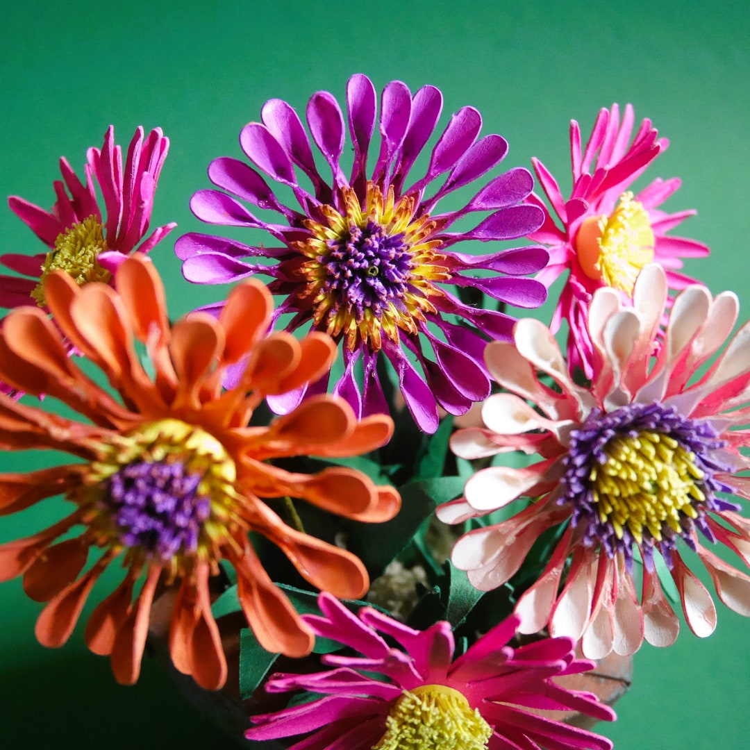 African Daisy Paper Flower Templates: DIY Craft SVG, Cricut, Silhouette ...