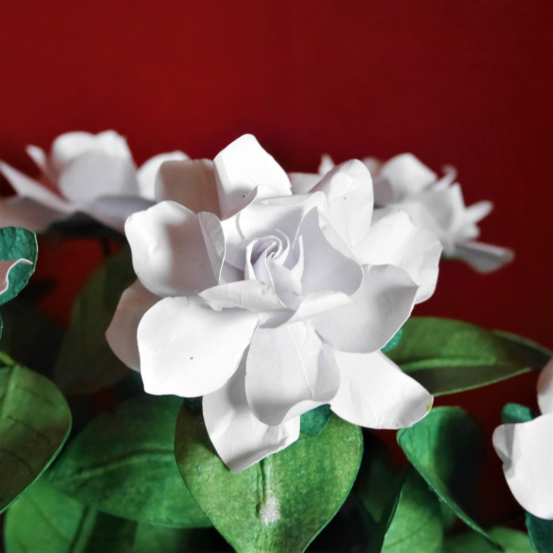 Gardenia Paper Flower Templates Video Tutorial Instant - Etsy