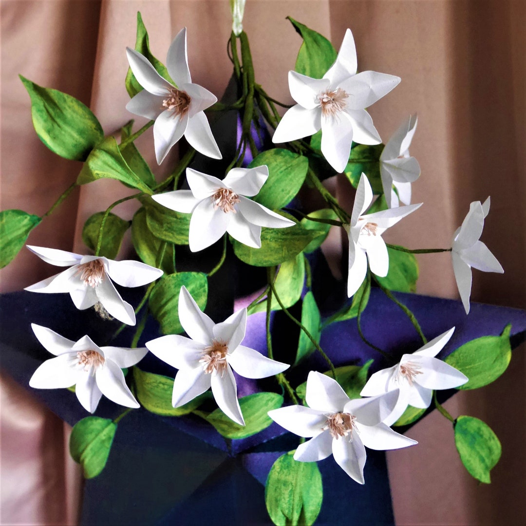 Astria Flower - Paper Flower - Templates - Instant Download - Video ...
