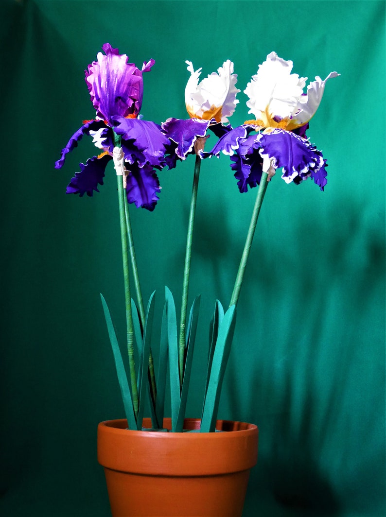 Dwarf Bearded Iris Paper Flowers Templates Tutorial see | Etsy