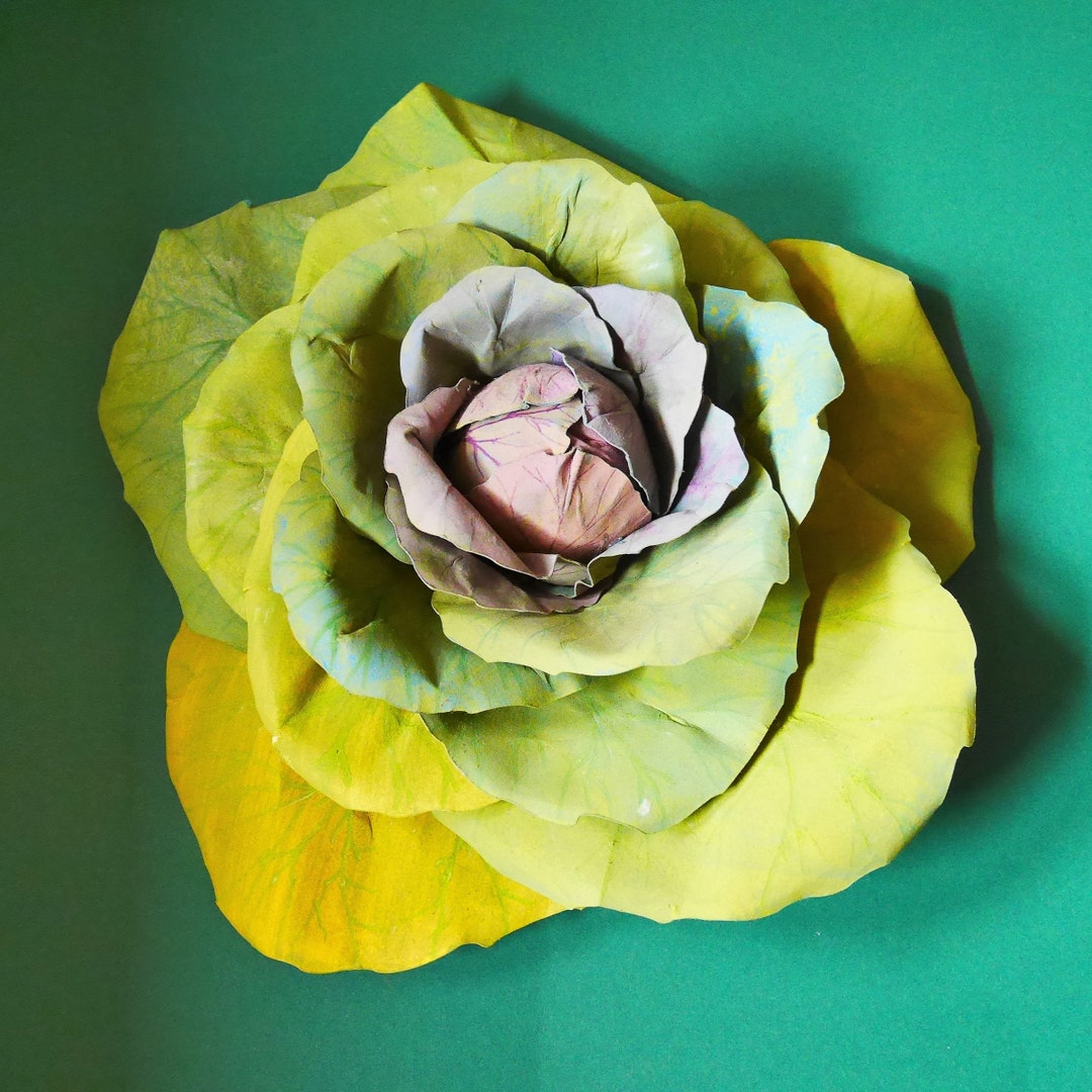 Ornamental Cabbage - Templates - DIY - Instant Download - Video ...