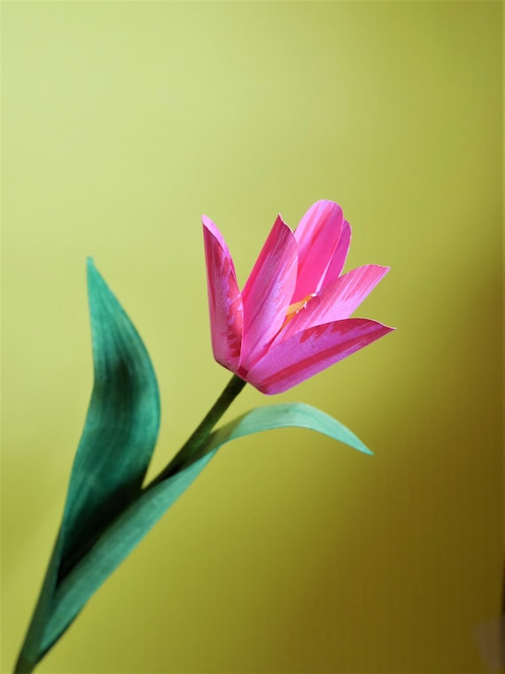 Blooming Tulip Paper Flowers Templates Instant Download - Etsy