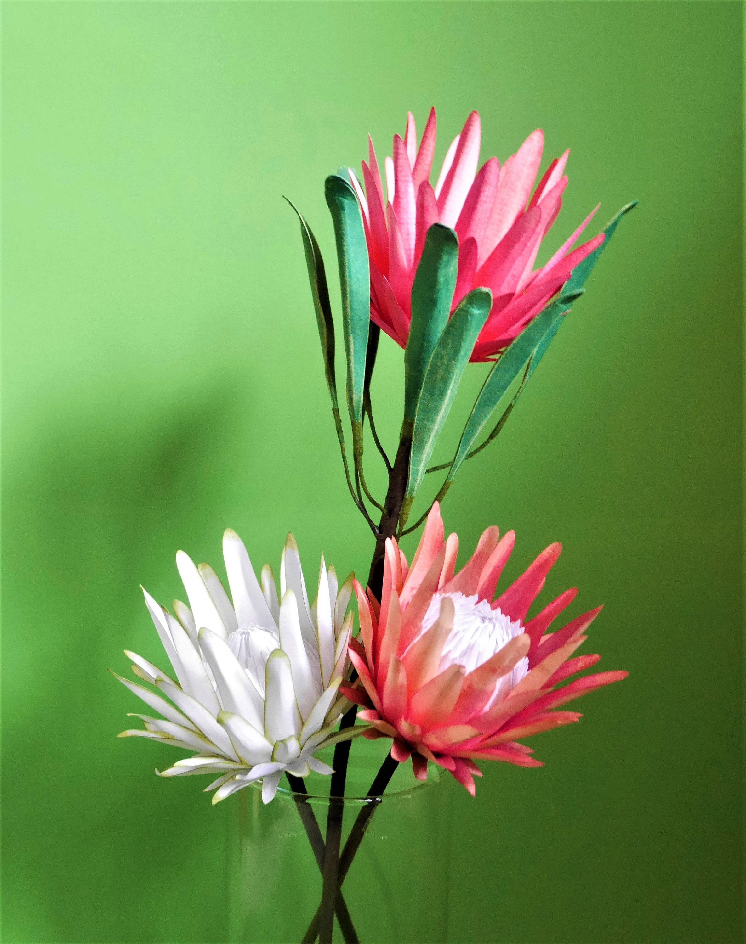 Blooming Protea - Paper Flower - Templates - Instant Download - SVG - S ...