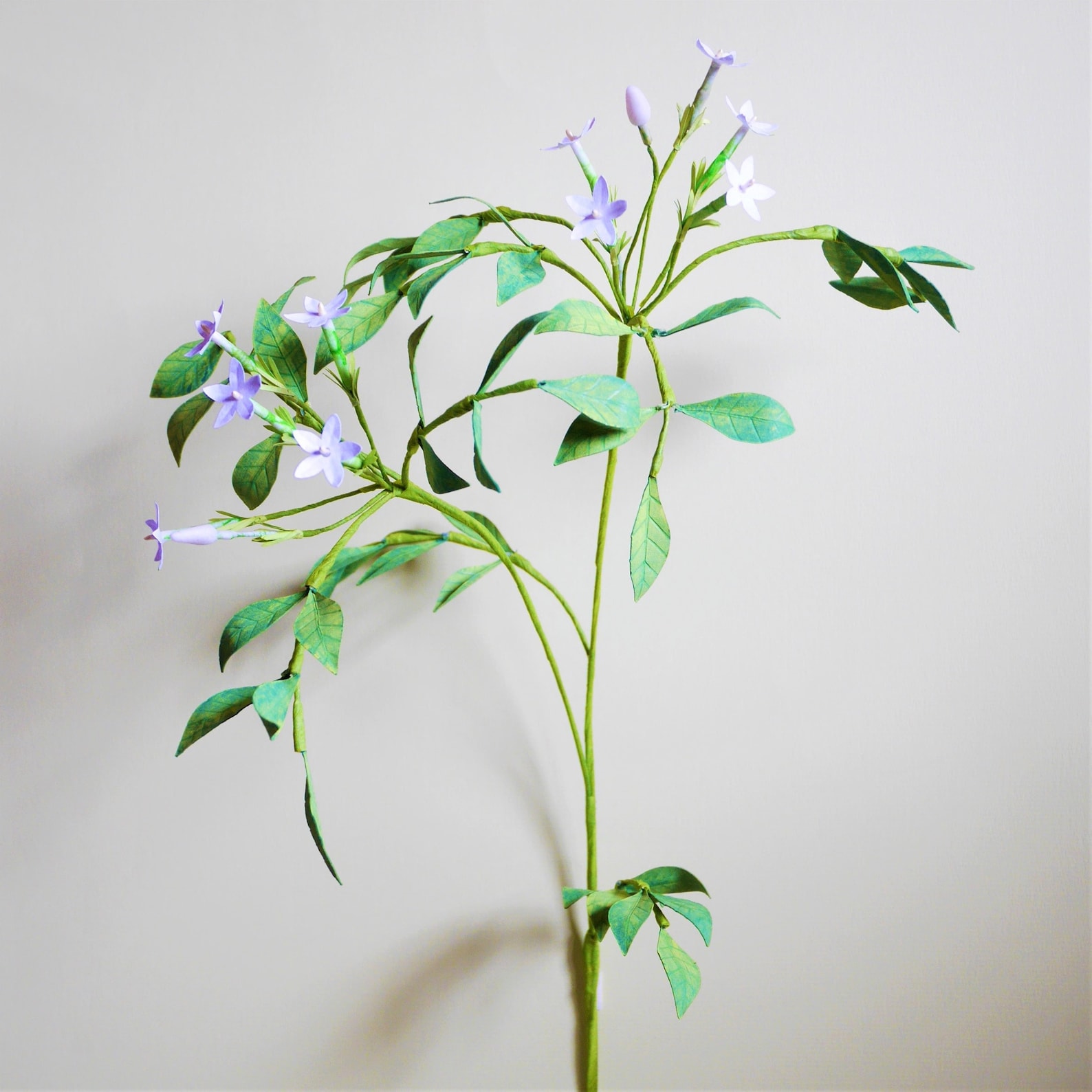 Jasmine - Paper Flower - Templates - Instant Download - Video Tutorial ...