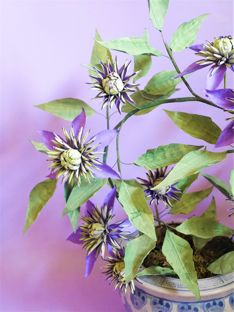 Taiga Clematis Paper Flowers Templates DIY Instant - Etsy