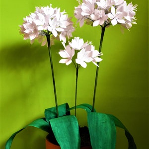 White Allium - Paper Flower - Templates - Instant Download - Video ...