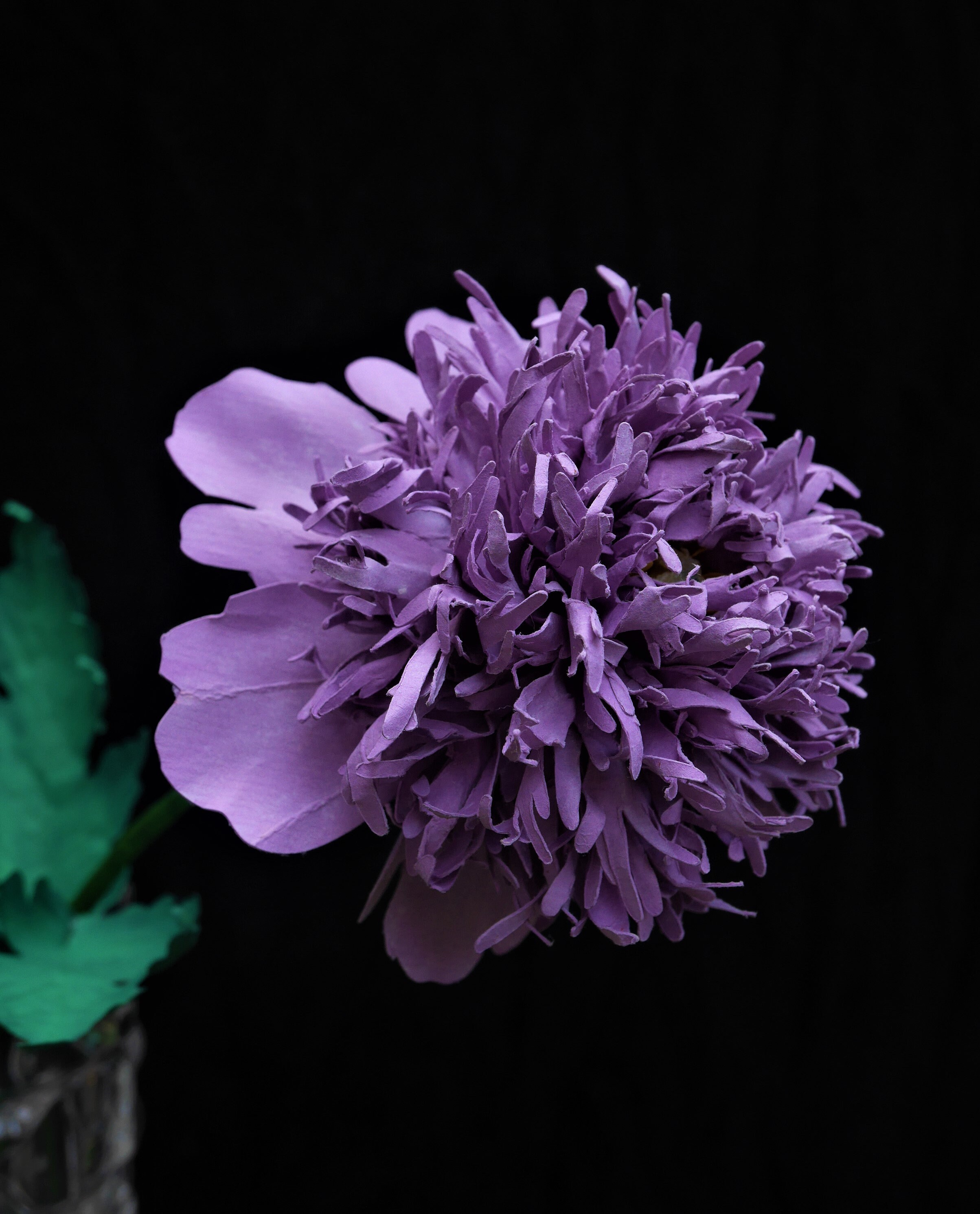 Pom Pom Peony Poppy Paper Flowers Templates Digital - Etsy