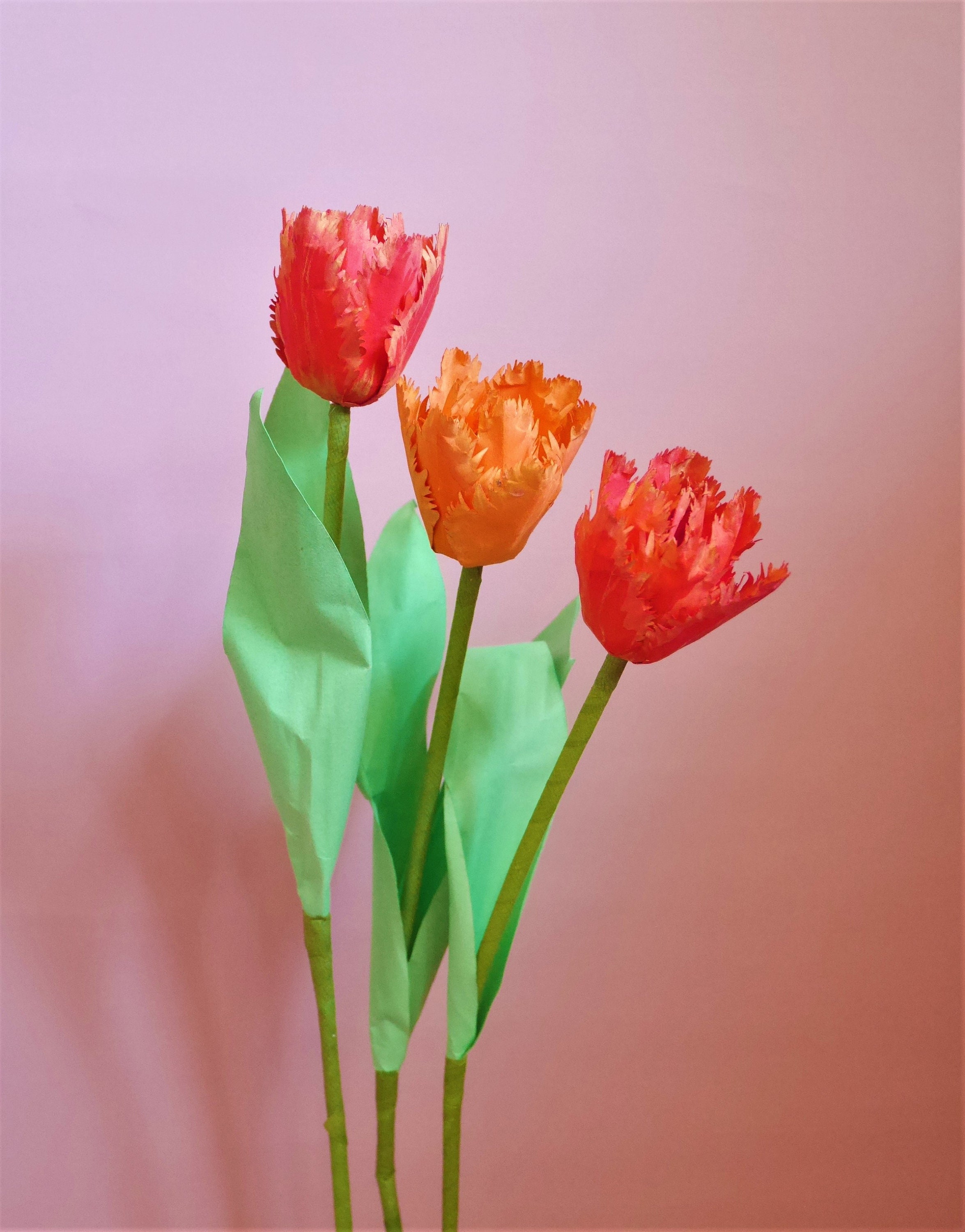 Double Fringed Tulip Paper Flower Templates Digital - Etsy