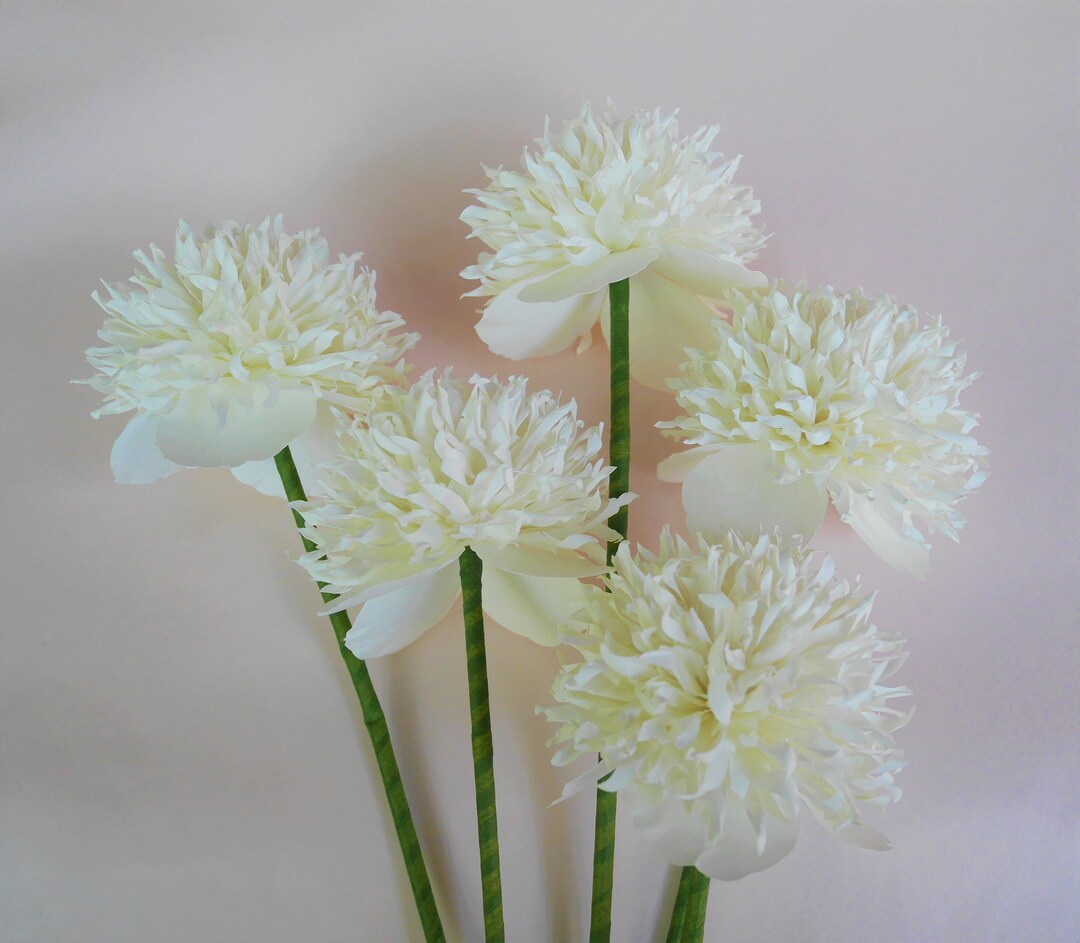 Carnation Poppy - Paper Flower - Templates - Video Tutorial - Instant ...