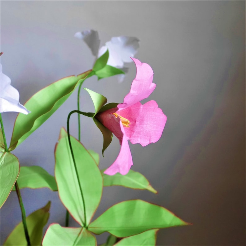 Trillium Grandiflorum - Paper Flower - Templates - Instant Download ...