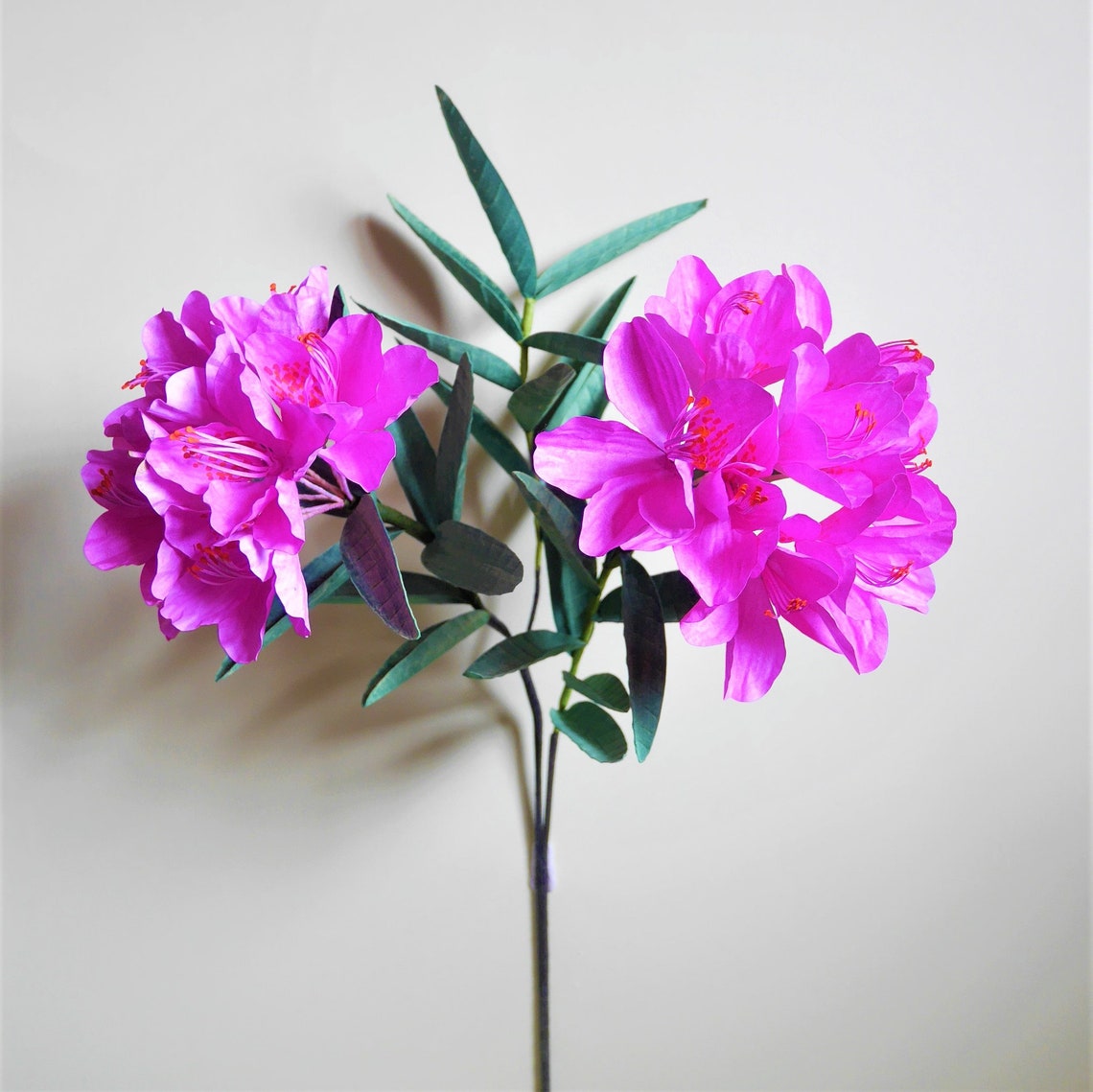 Rhododendron - Template - Paper Flower - Instant Download - Video ...