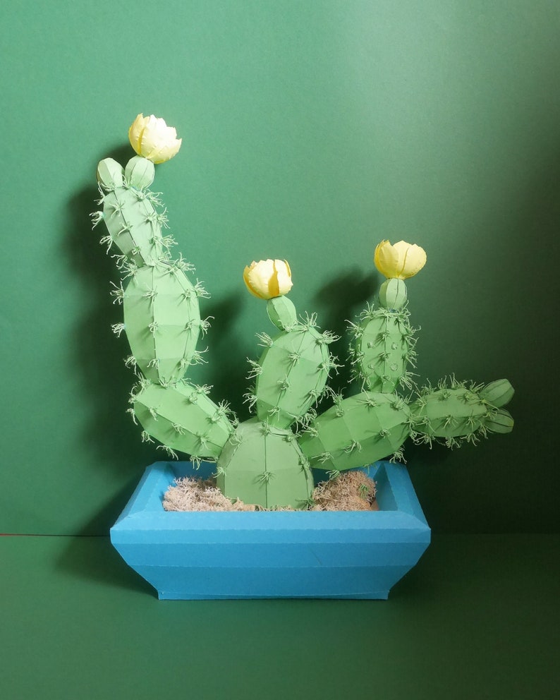 Nopal Cactus Templates Instant Download Video Tutorial - Etsy