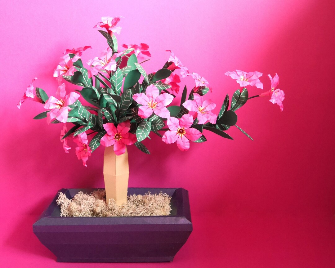 Desert Rose Bonsai Paper Flower Templates: DIY 3D Crafts (SVG, Studio ...