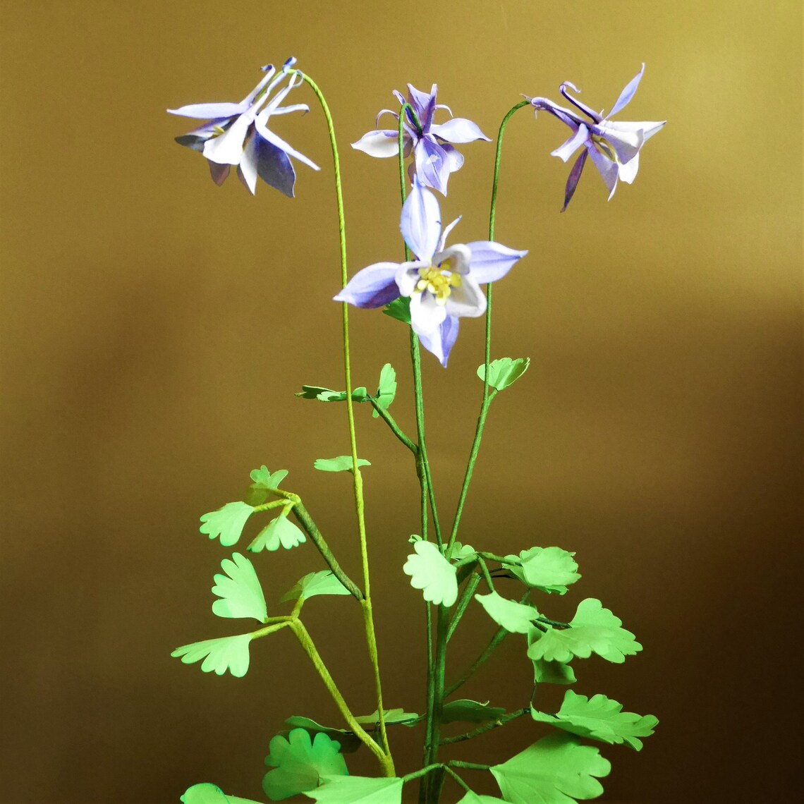 Columbine Flower - Templates - Paper Flower - Instant Download - Video ...