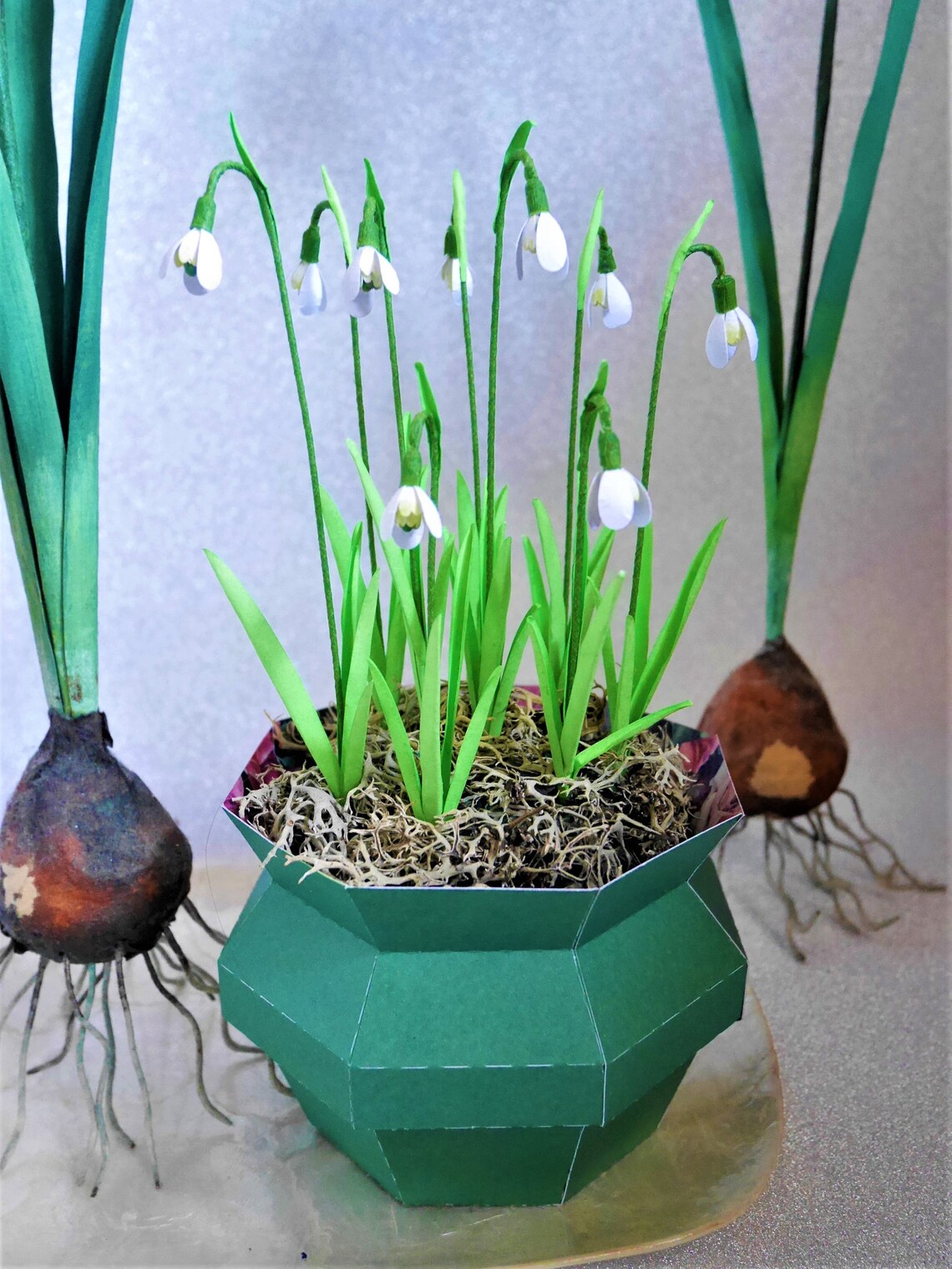 Snowdrops and Planter Paper Flower Templates Video - Etsy