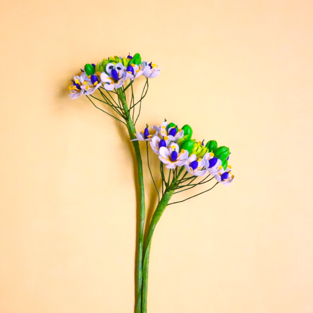 Arabacum Star of Bethlehem - Paper Flower - Templates - Instant ...