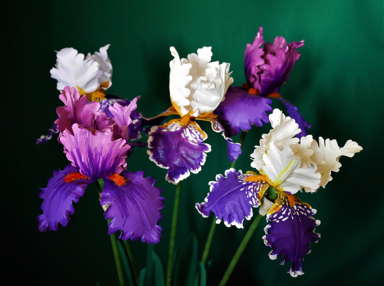 Dwarf Bearded Iris - Paper Flowers - Templates - Instant Download ...