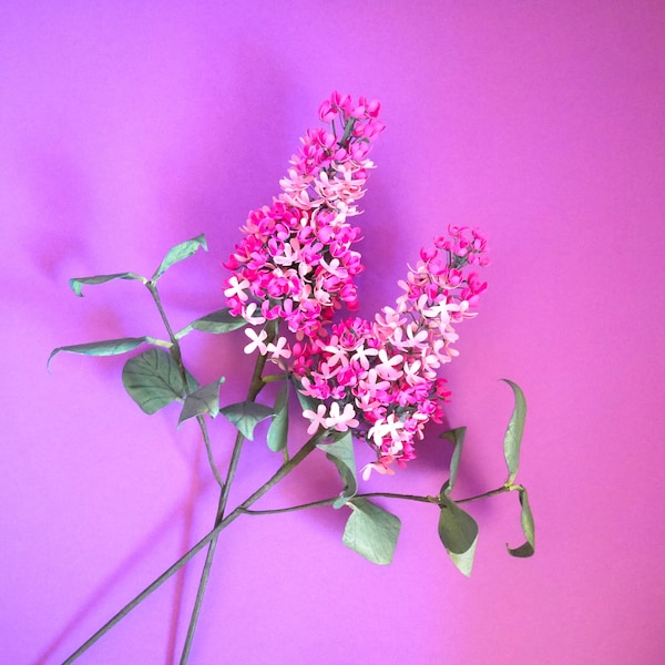 Lilac - Etsy
