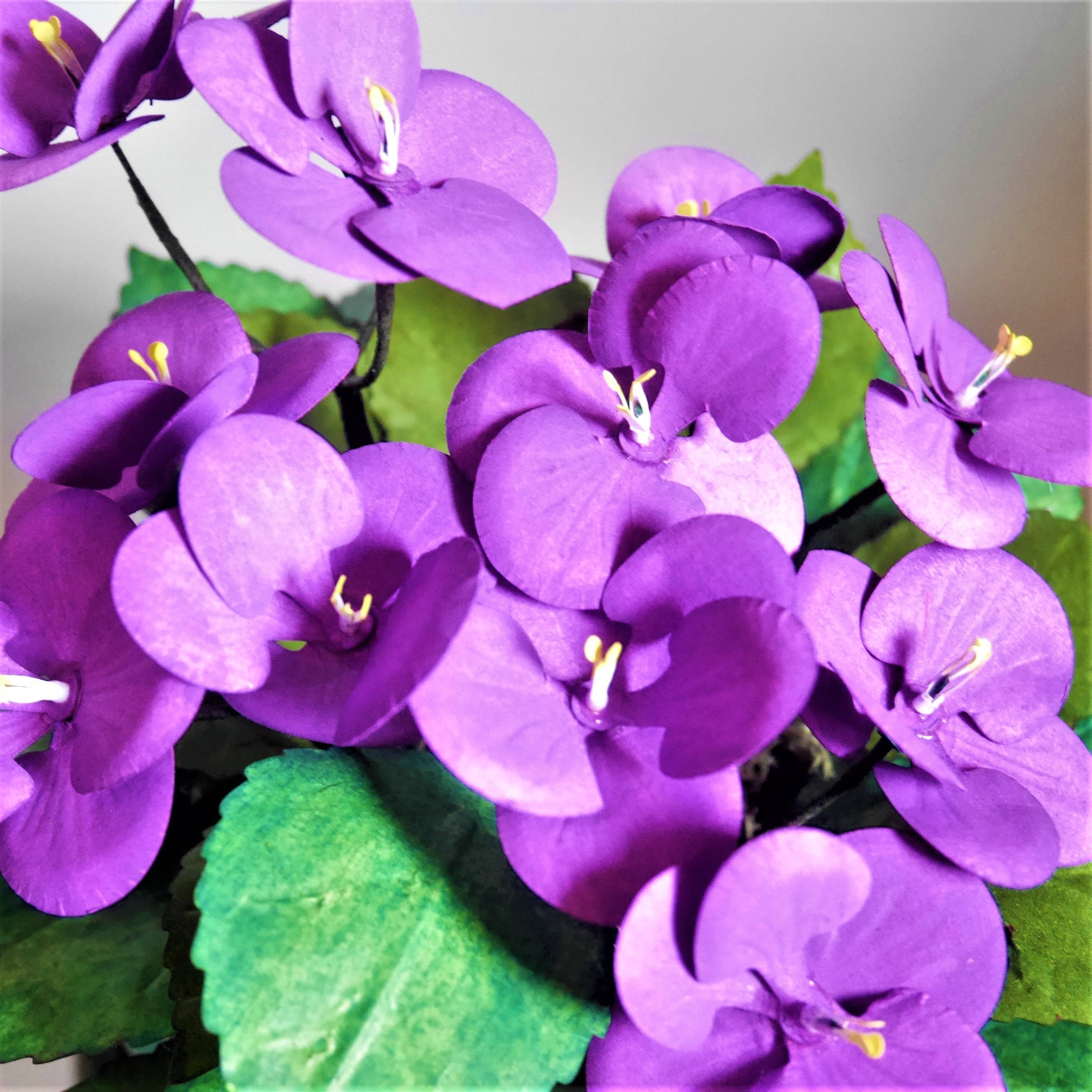 African Violet Paper Flower Templates: DIY 3D Crafts (instant Download ...