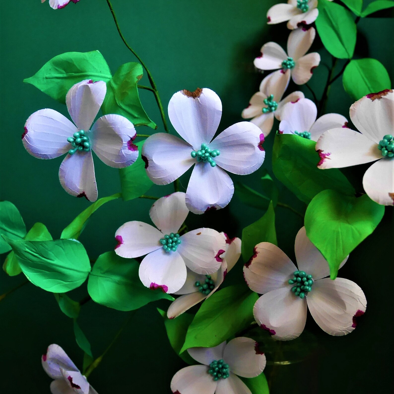 Dogwood Paper Flower Templates Instant Download Video - Etsy