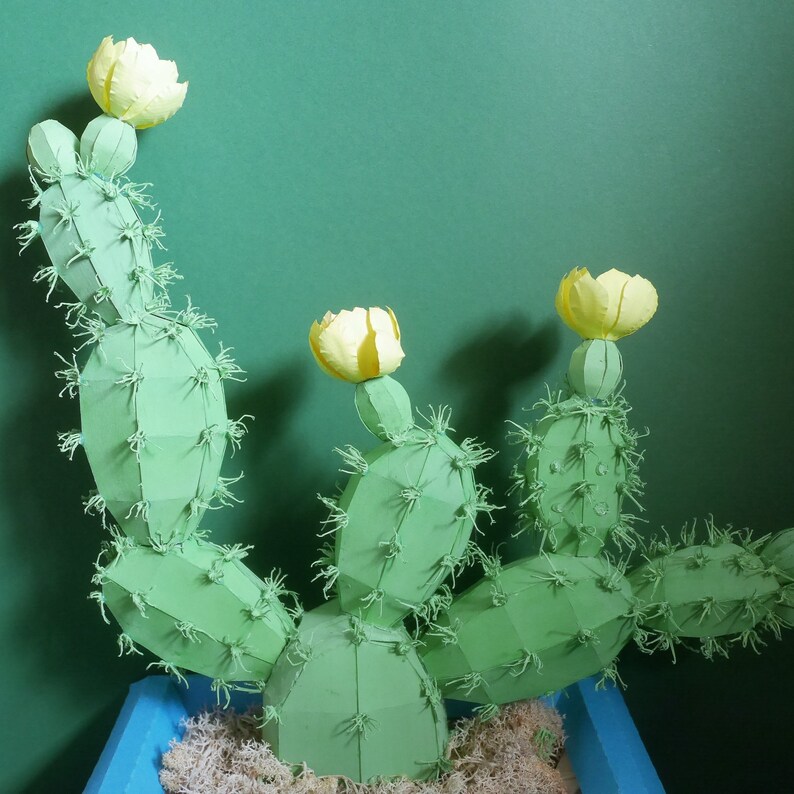 Nopal Cactus Templates Instant Download Video Tutorial - Etsy