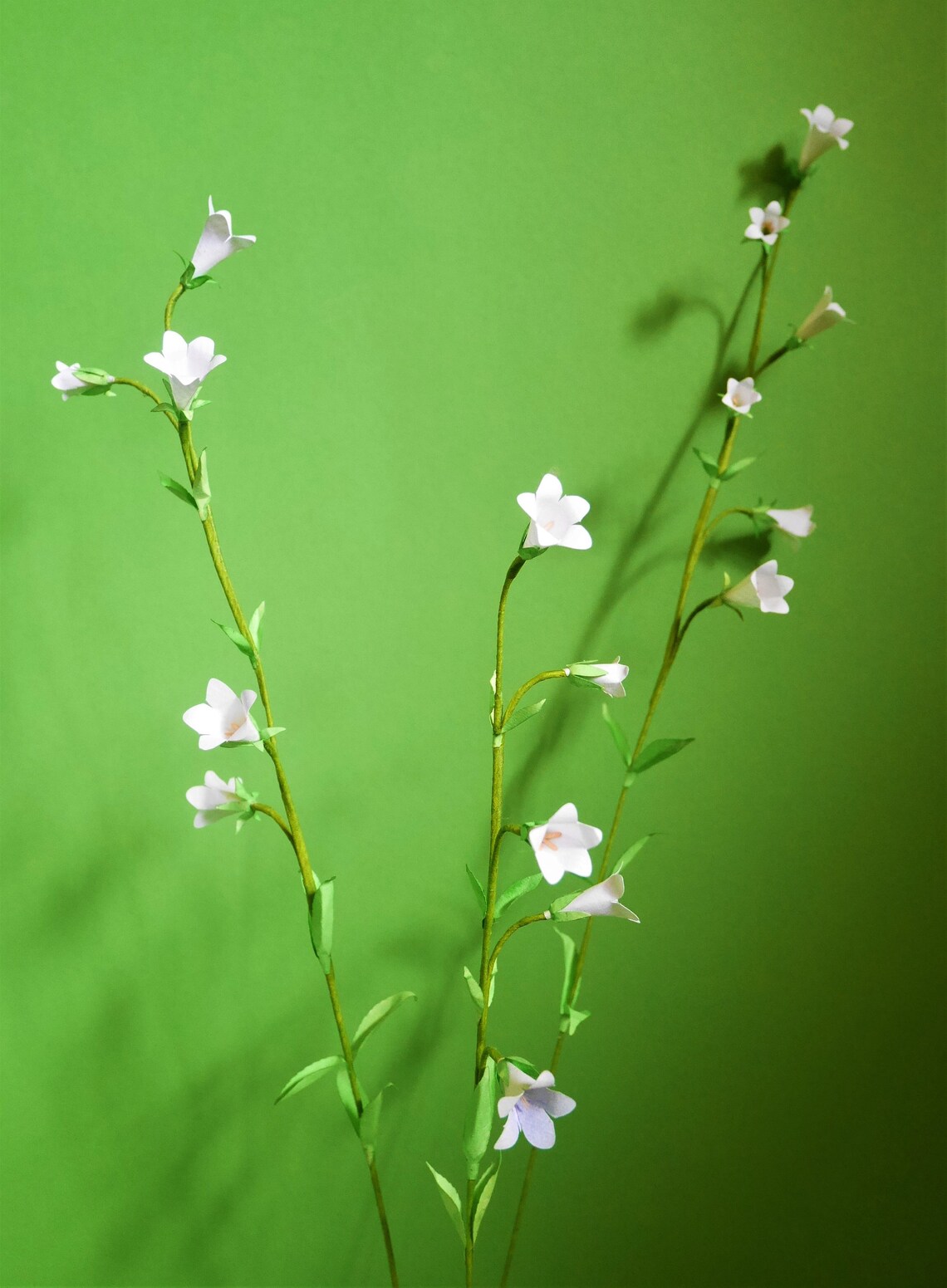 Campanula Latifolia - Paper Flowers - Templates - Instant Download ...