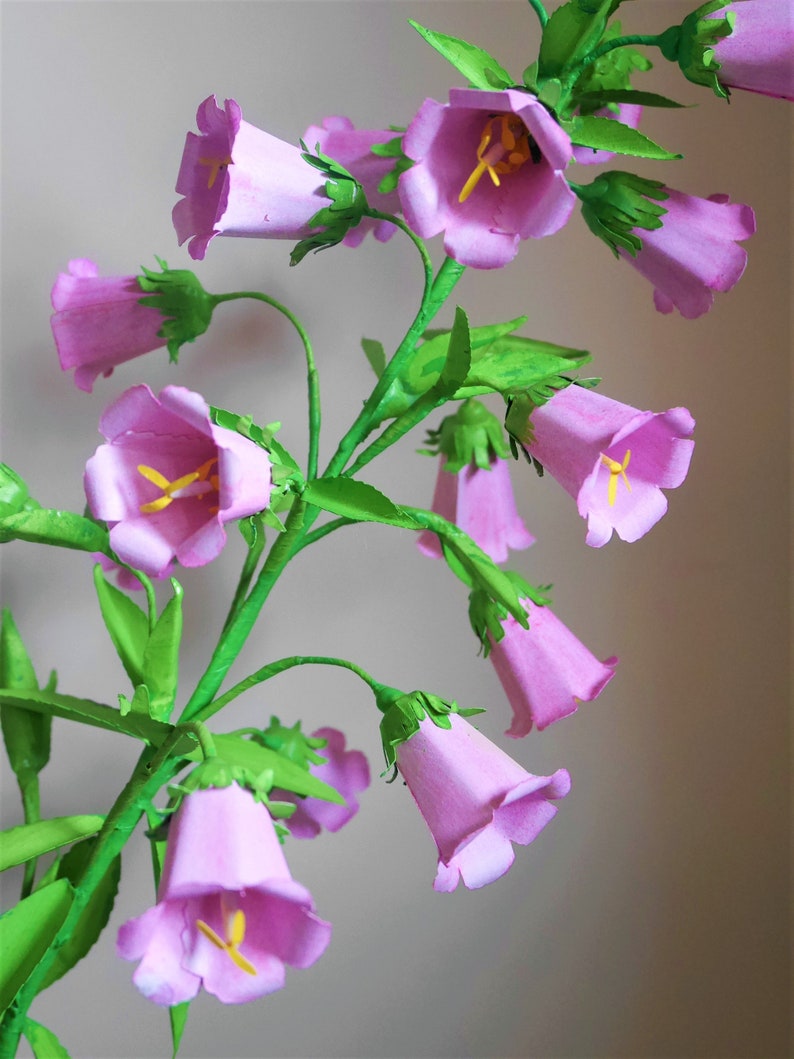 Canterbury Bells - Paper Flower - Templates - Instant Download - SVG ...