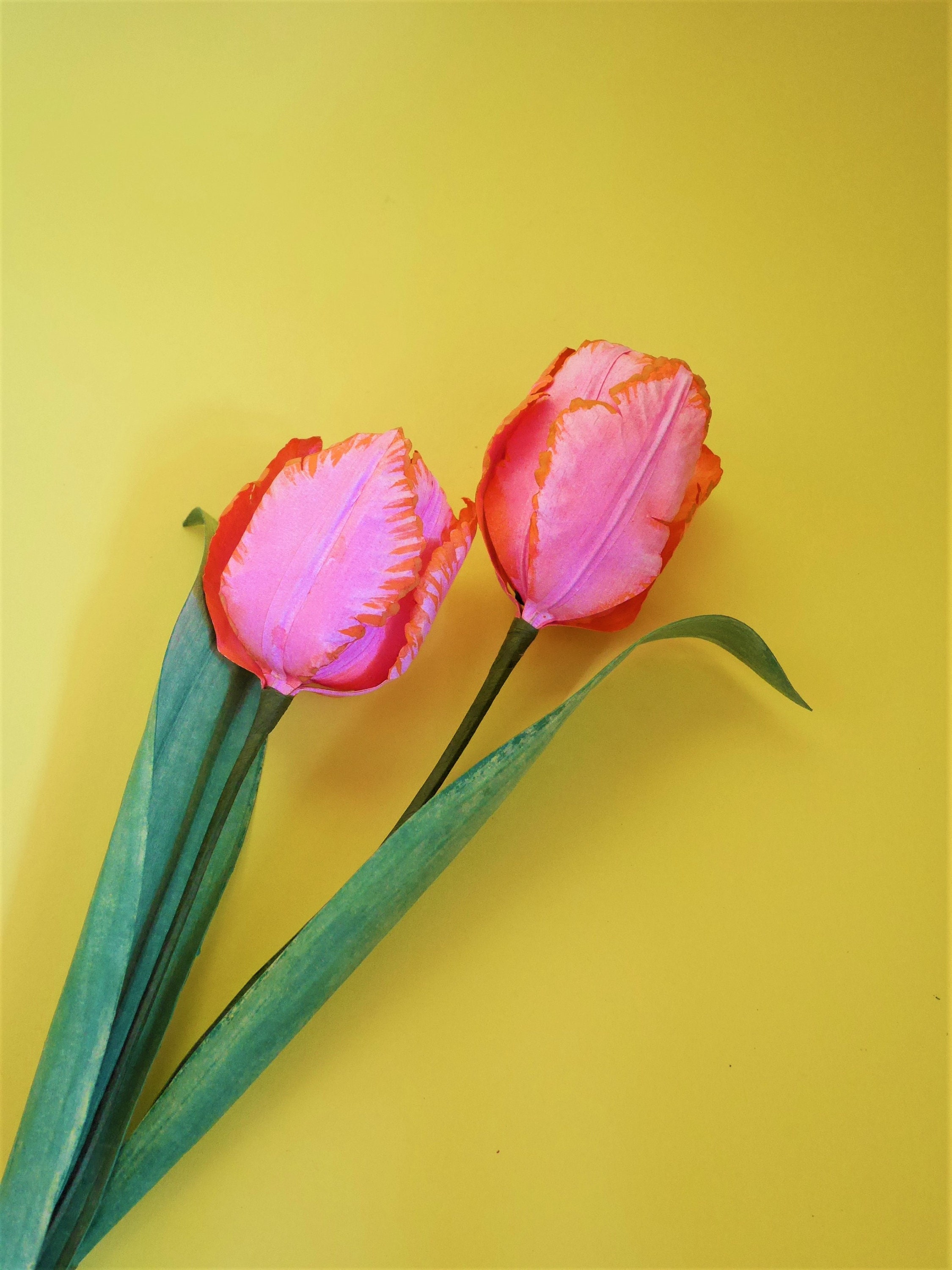 Blooming Parrot Tulip - Paper Flower - Templates - Video Tutorial ...