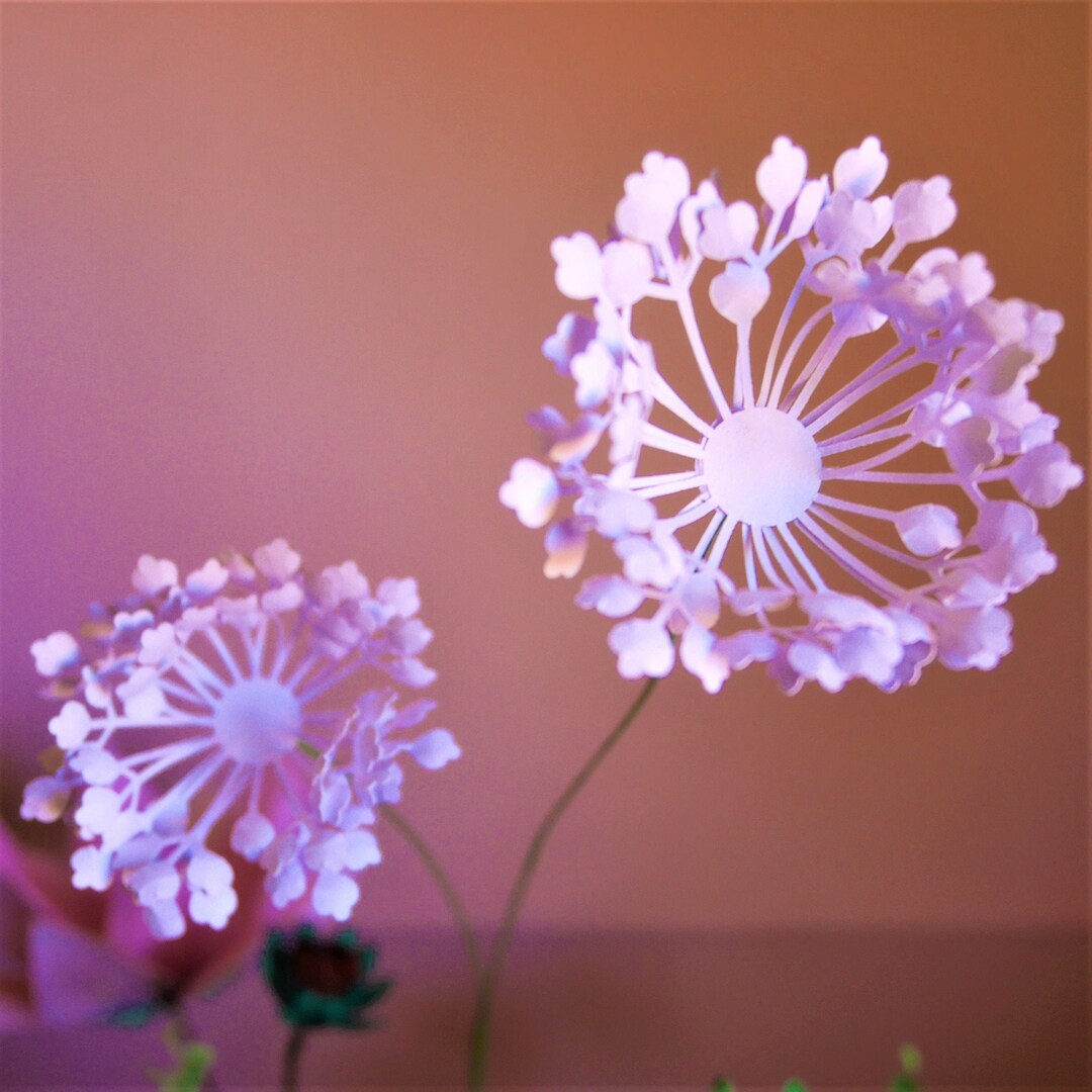 Aphrodite Paper Flower Template: DIY Foliage Bouquet (instant Download ...