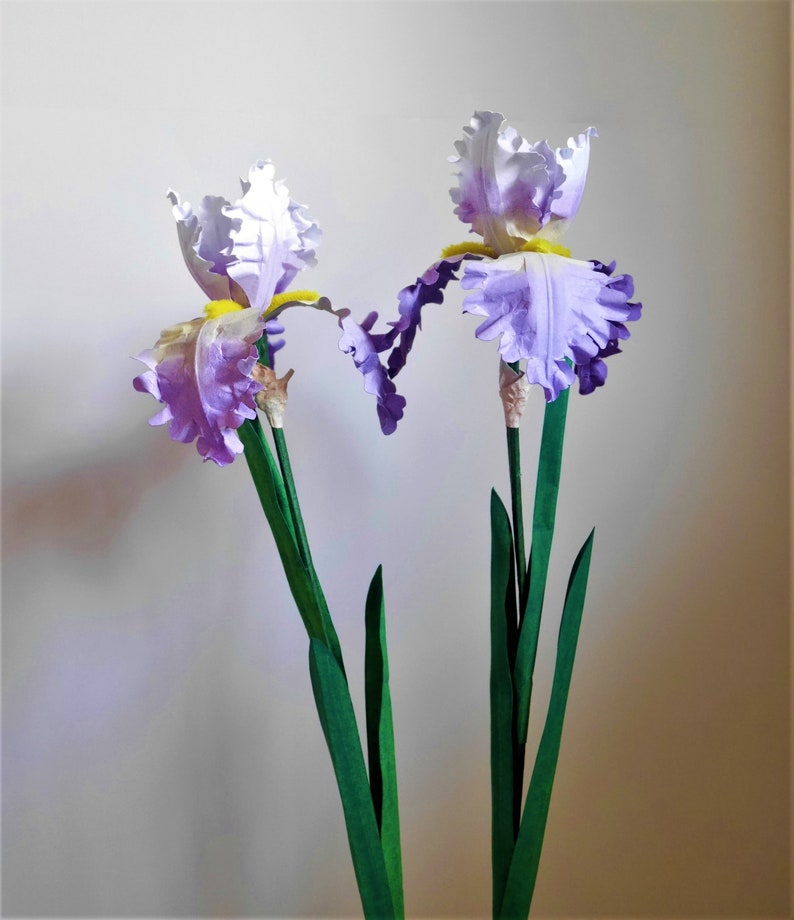Dwarf Bearded Iris - Paper Flowers - Templates - Instant Download ...