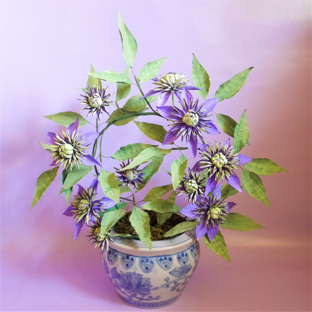 Taiga Clematis - Paper Flowers - Templates - DIY - Instant Download ...