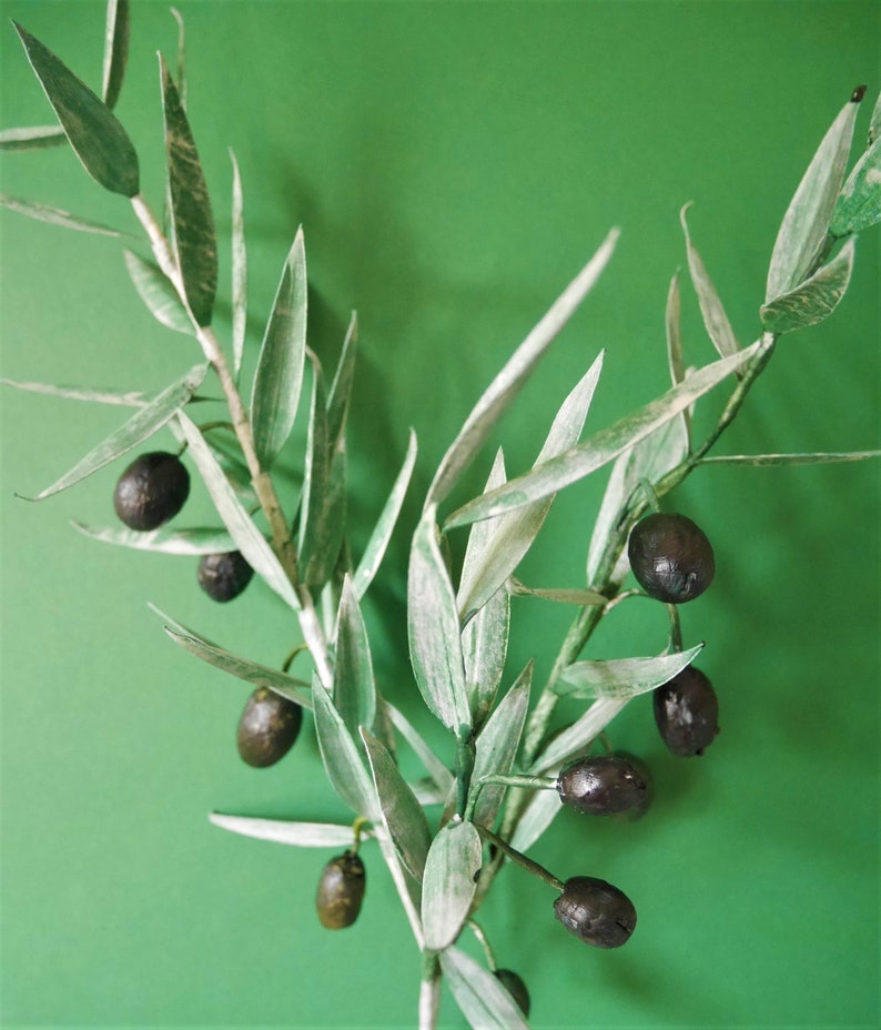 Olive Branch Templates Paper Foliage DIY Instant - Etsy