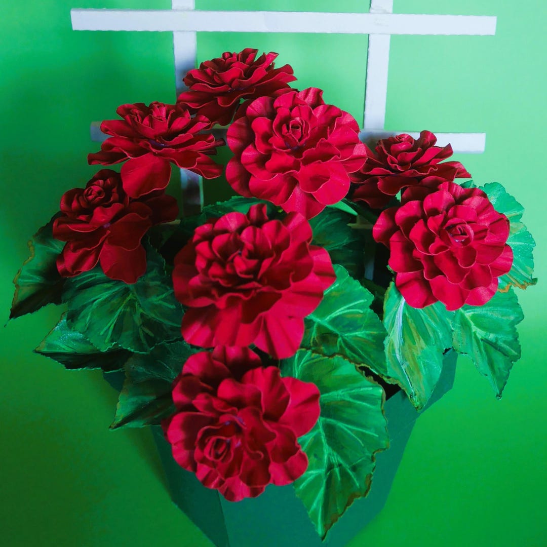 Ruffled + Double Begonia - Detachable Flower Construction - Instant ...