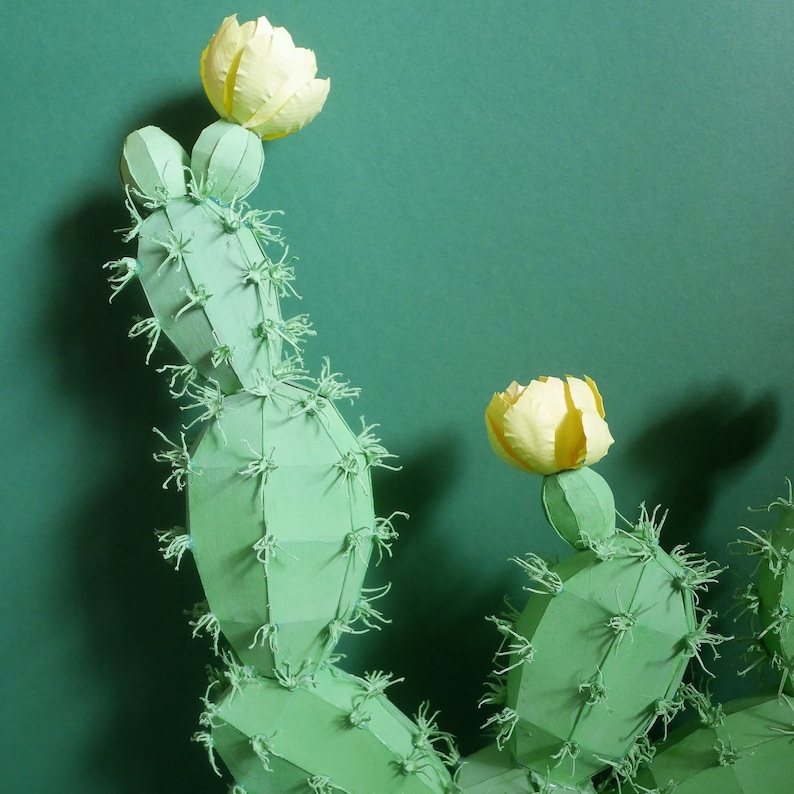 Nopal Cactus Templates Instant Download Video Tutorial - Etsy