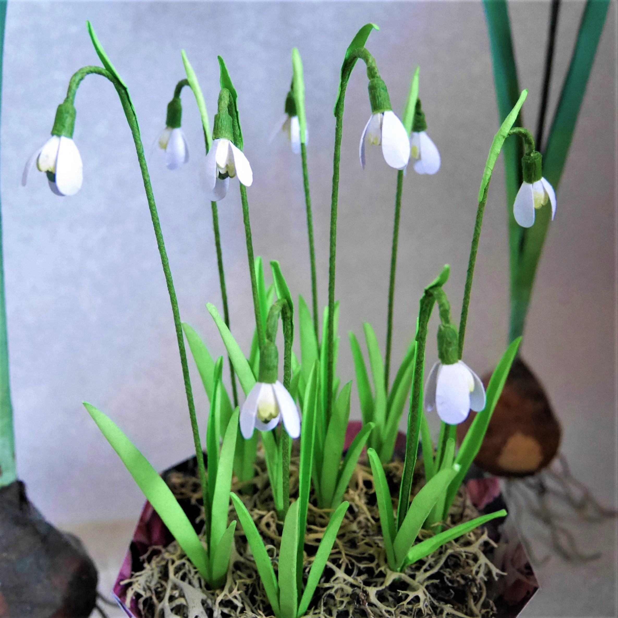 Snowdrops and Planter Paper Flower Templates Video - Etsy