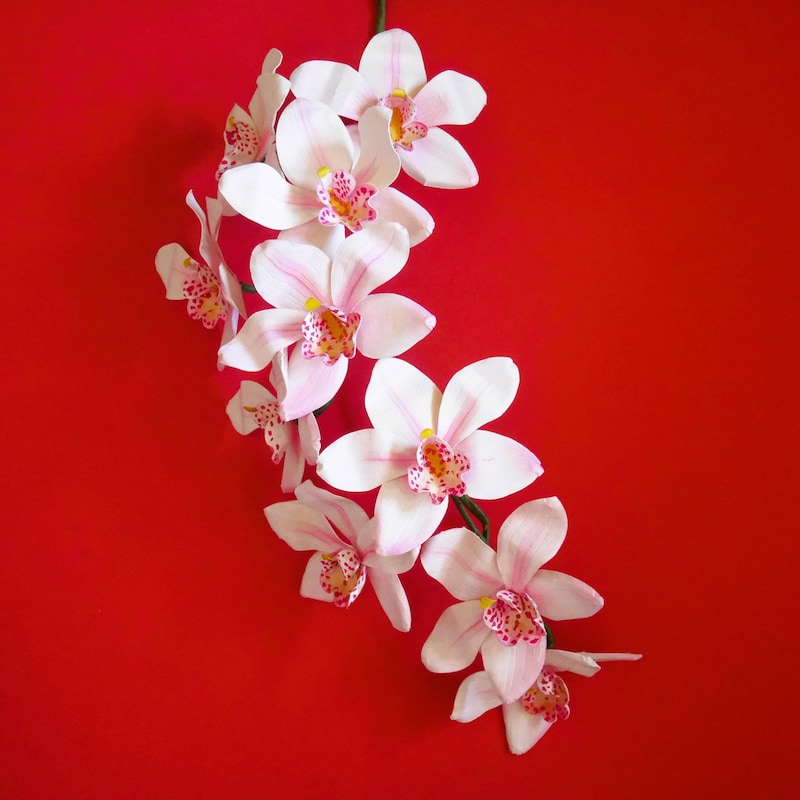 Paper Orchid Displays - Etsy UK