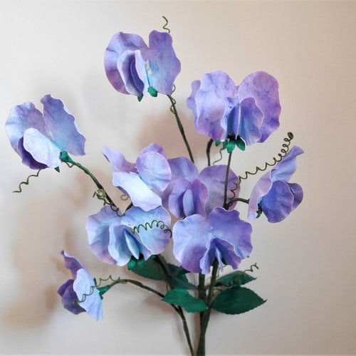 Spider Spray Mum Paper Flower Templates Video Tutorial Etsy