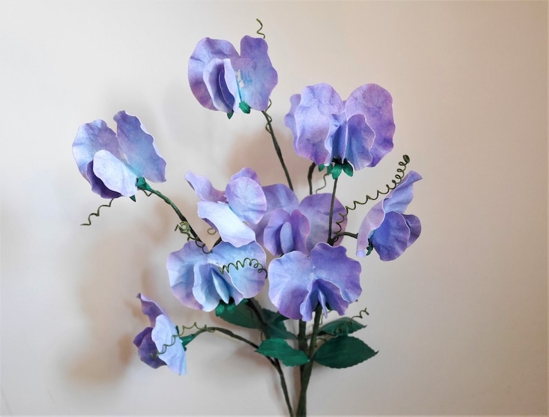 Sweet Pea Paper Flower Templates Video Tutorial - Etsy