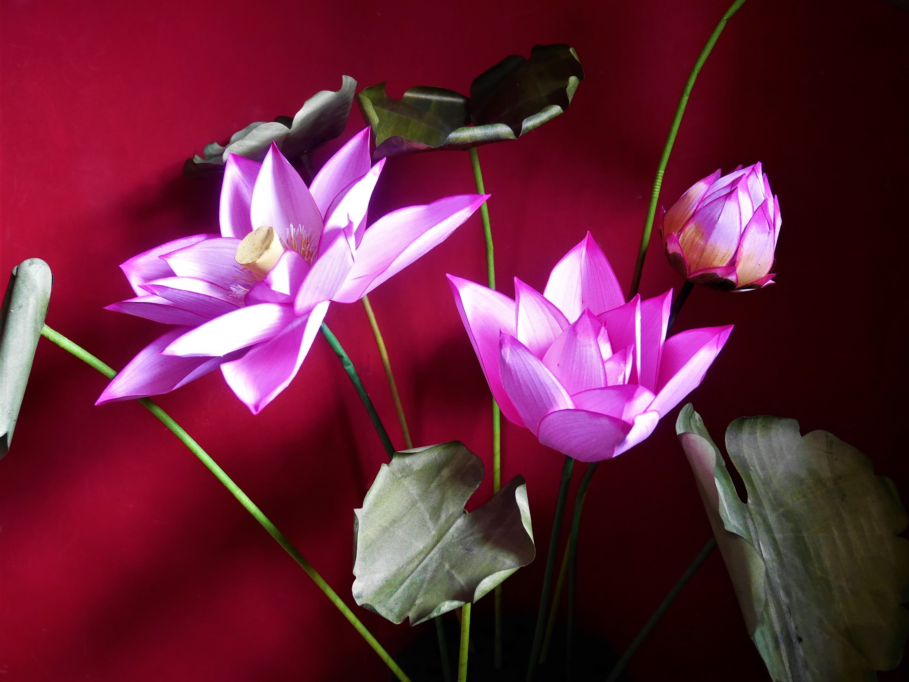 Lotus Flower Paper Flower Templates Video Tutorial | Etsy