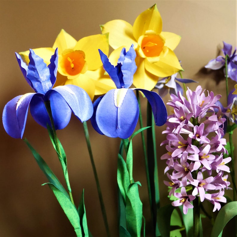 Japanese Iris - Paper Flower - Templates - Video Tutorial - Instant ...