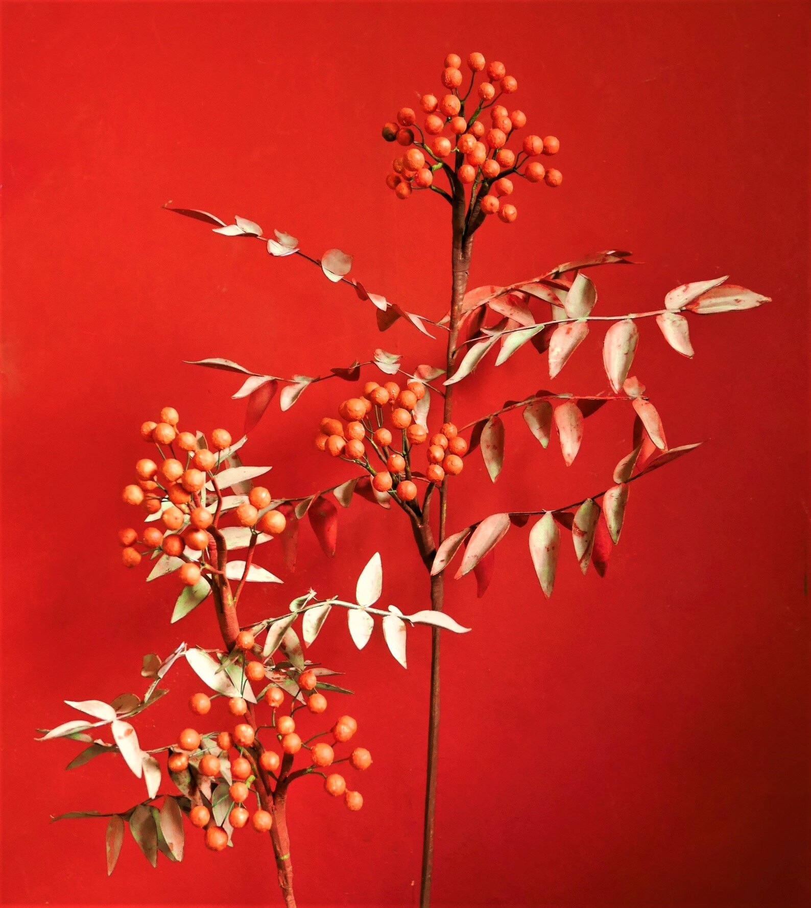 Rowan Ash Tree Branch - Templates - DIY - Video Tutorial - SVG ...