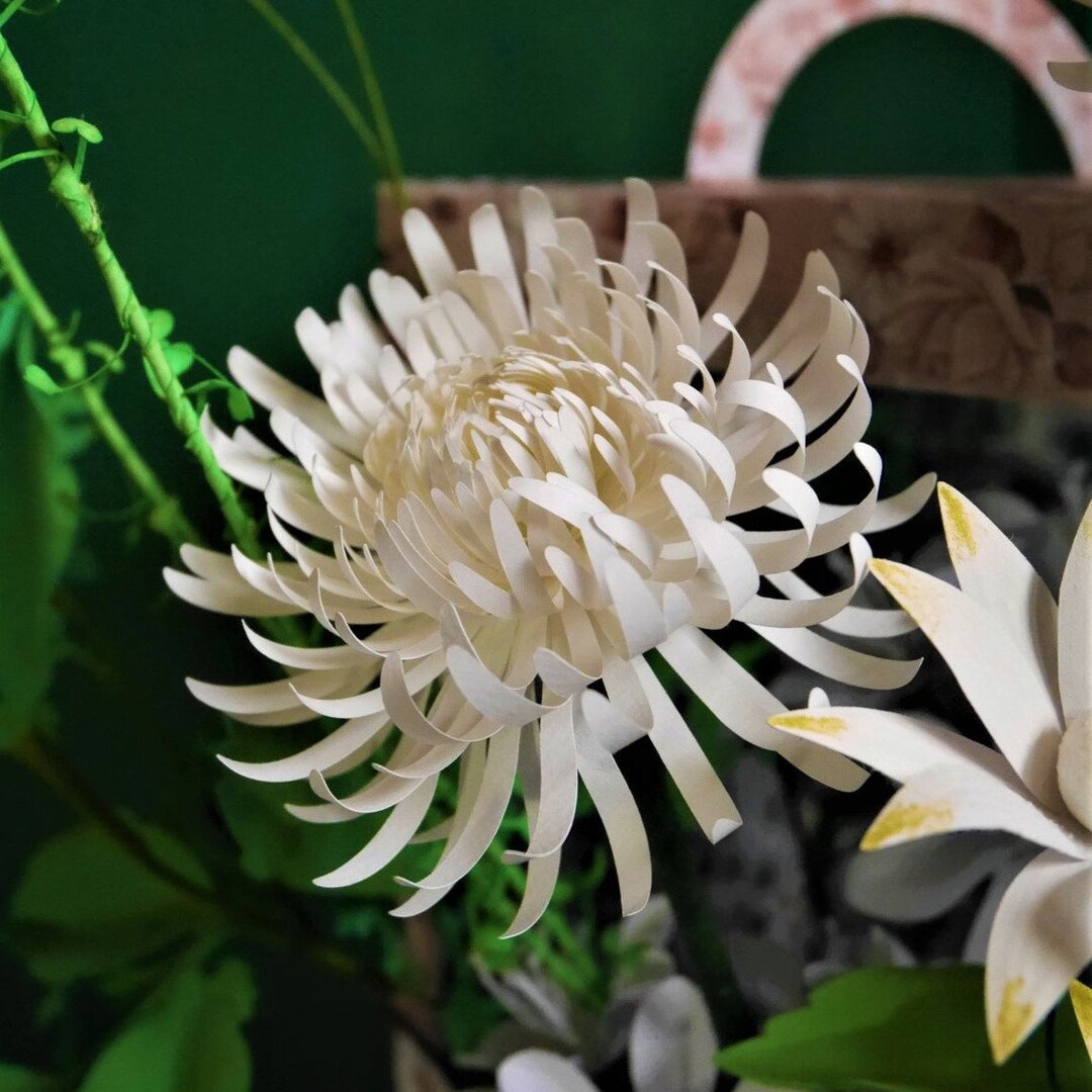 Sjabloon Anastasia Spider Mum: SVG, videotutorial, commercieel gebruik ...