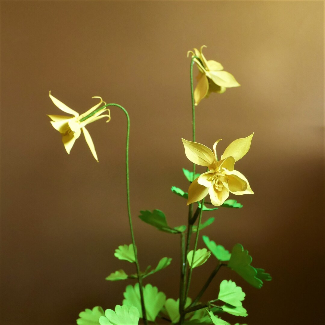 Columbine Flower - Templates - Paper Flower - Instant Download - Video ...