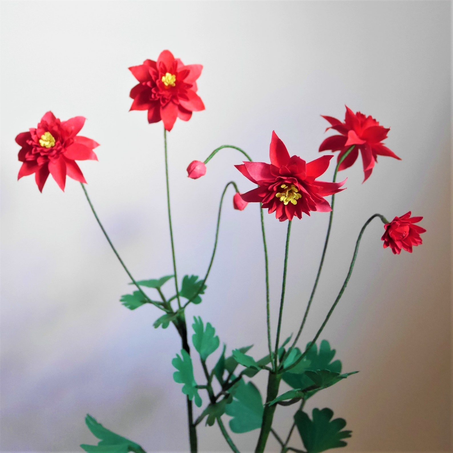 Aquilegia Columbine - Paper Flower - Templates - Instant Download ...
